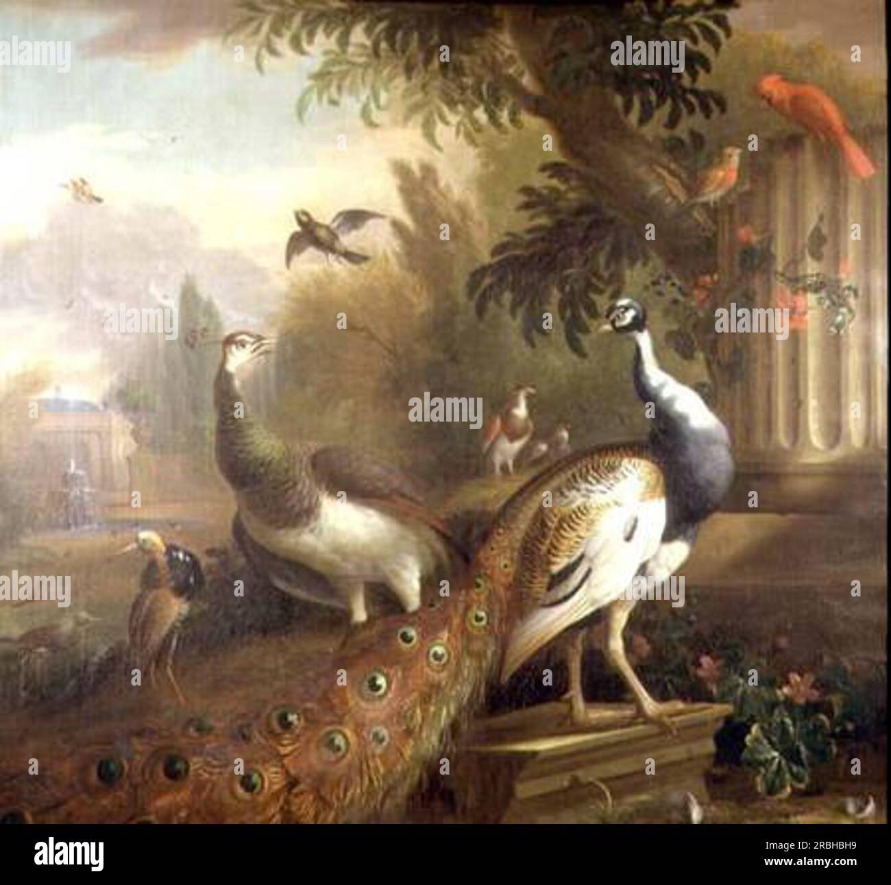 Peacock and Peahen with a Red Cardinal in a Classical Landscape by ...