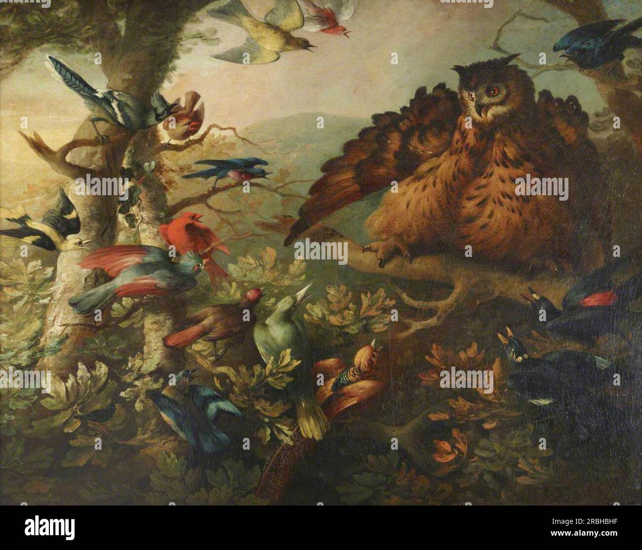 The Mobbing of a Long Eared Owl by Other Birds by Tobias Stranover ...