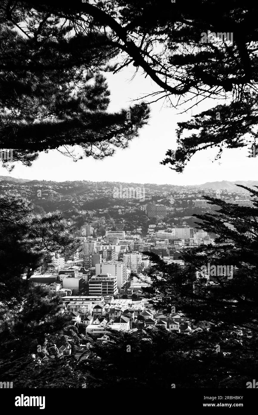 Trees buildings background Black and White Stock Photos & Images - Alamy
