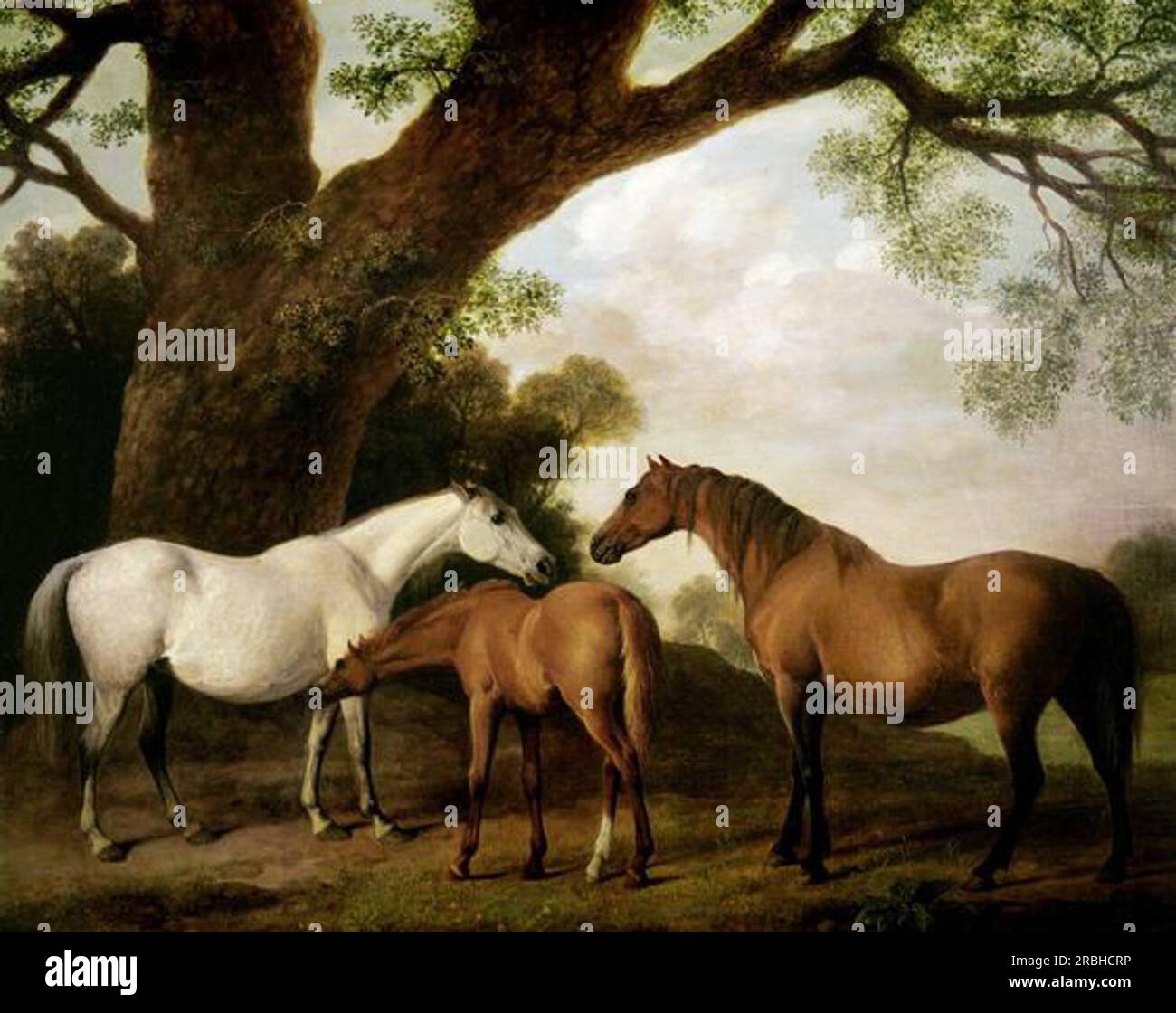 Shafto hi-res stock photography and images - Alamy