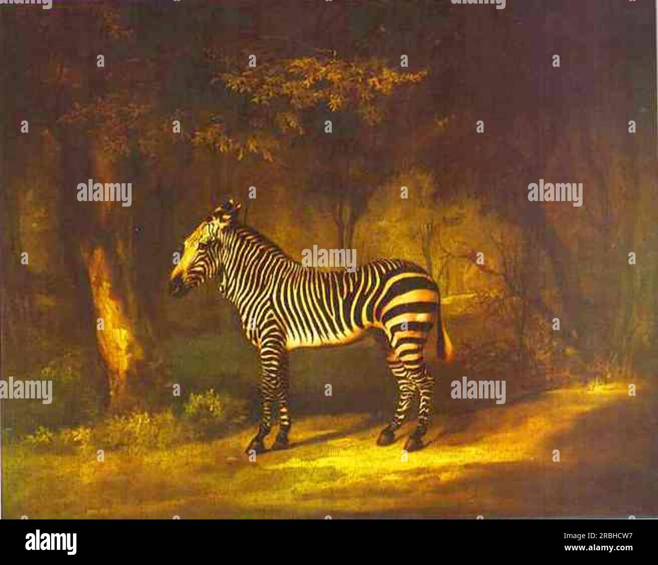 George stubbs zebra hi-res stock photography and images - Alamy