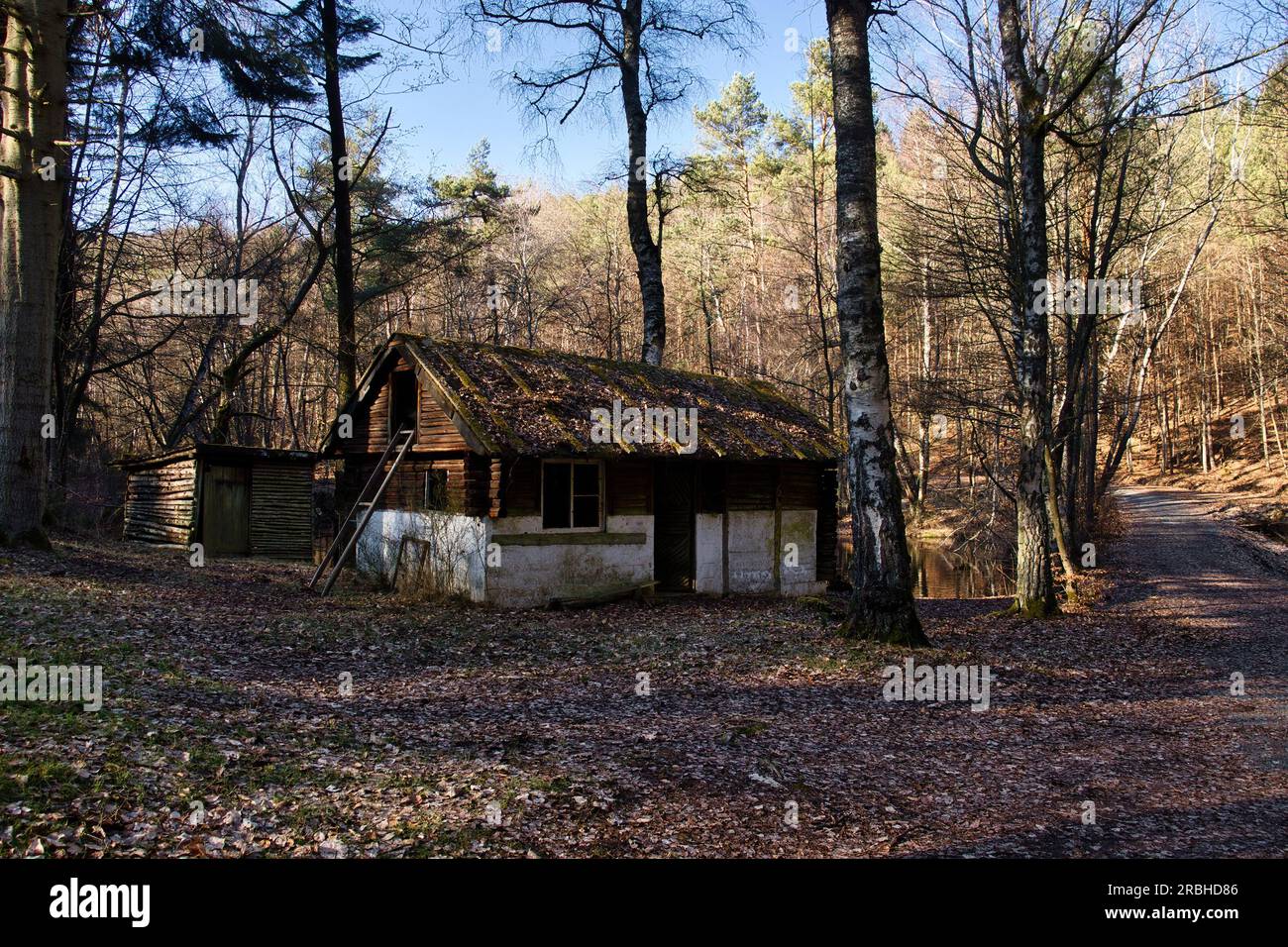 Cabin next to a lake on a trail in the Palatinate Forest on a winter ...