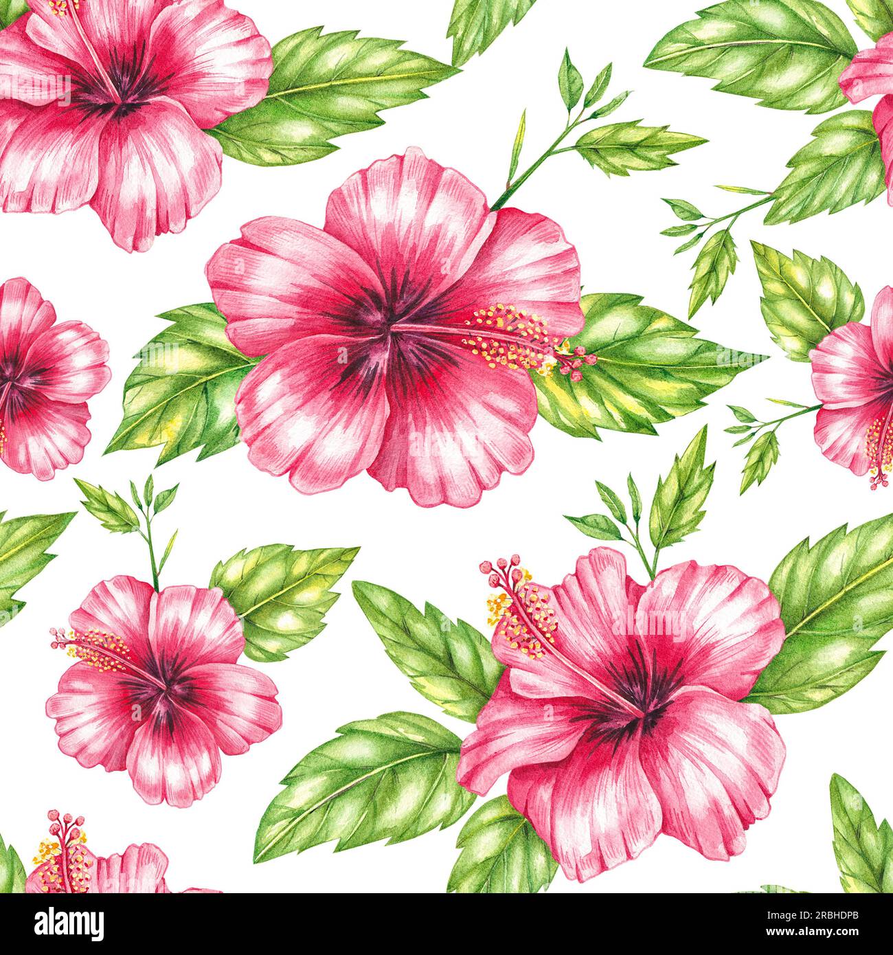 Pattern hibiscus red flowers on a white background. Seamless floral ...