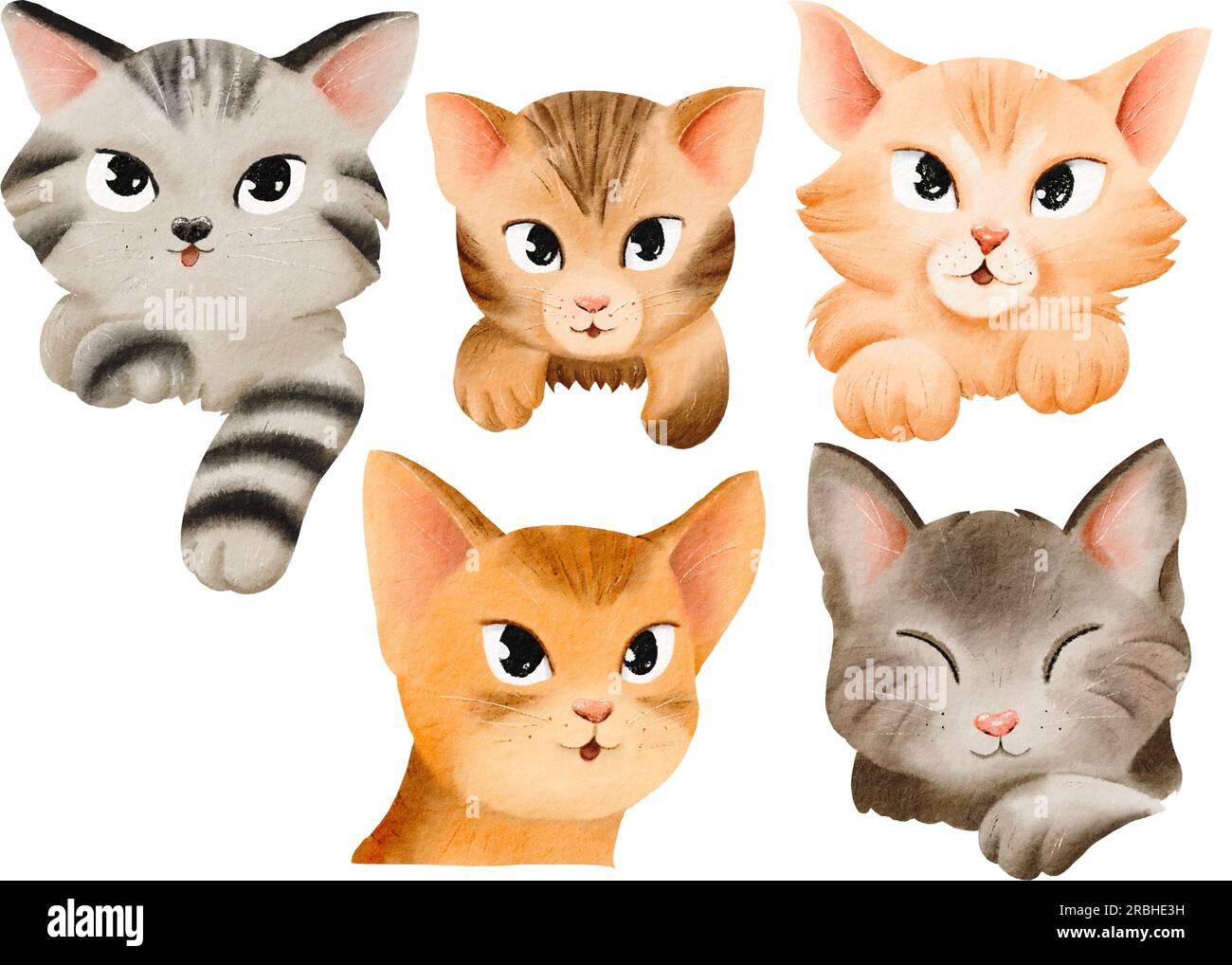 A set of cute cartoon funny cats. Striped fluffy pets, gentle and cute faces and different ...