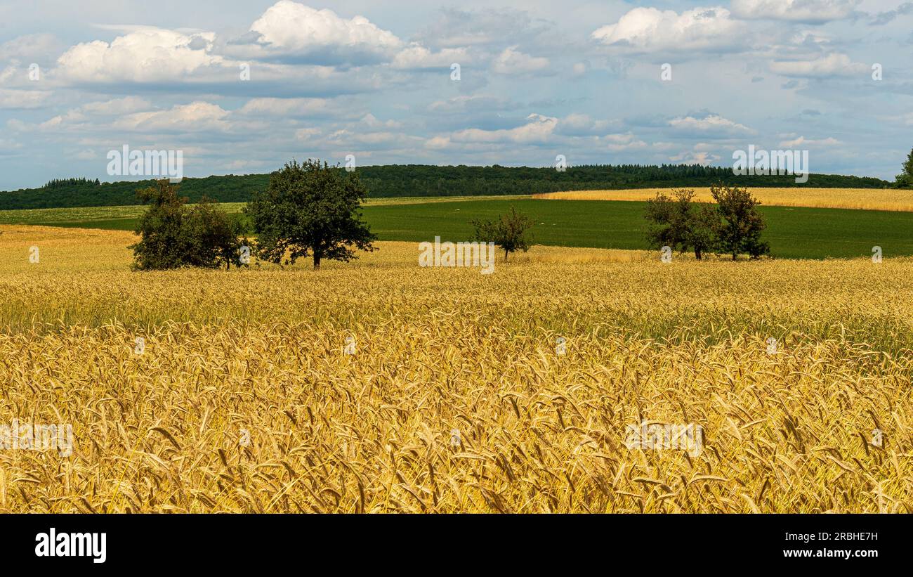 Idyllic life countryside hi-res stock photography and images - Alamy