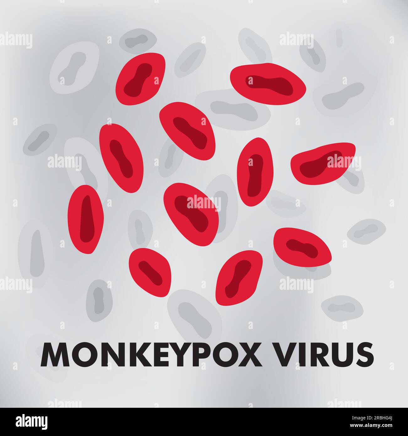 Monkeypox virus. A virus that is transmitted from animals to humans ...