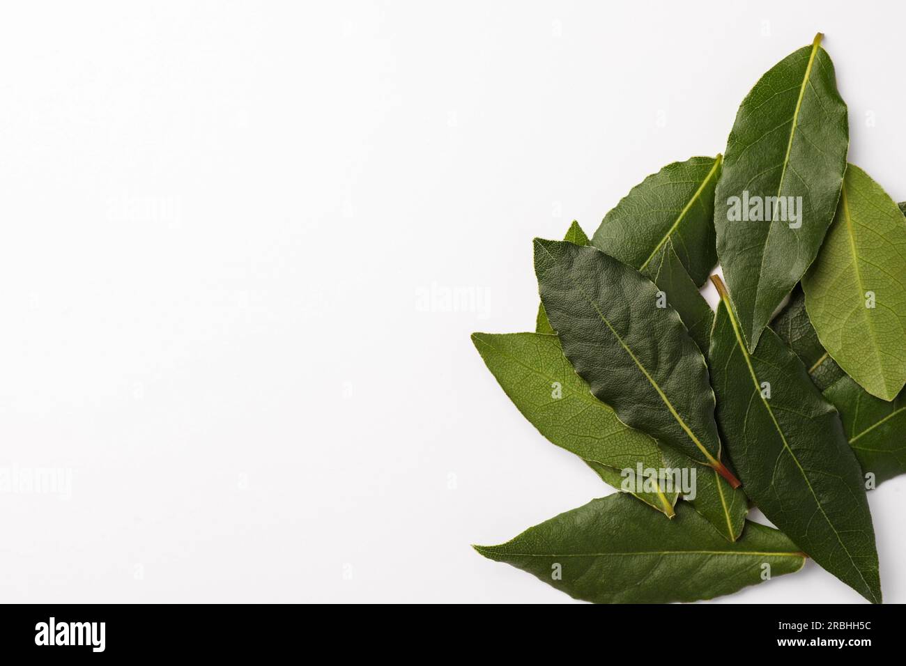 Aromatic fresh bay leaves on white background, top view. Space for text ...