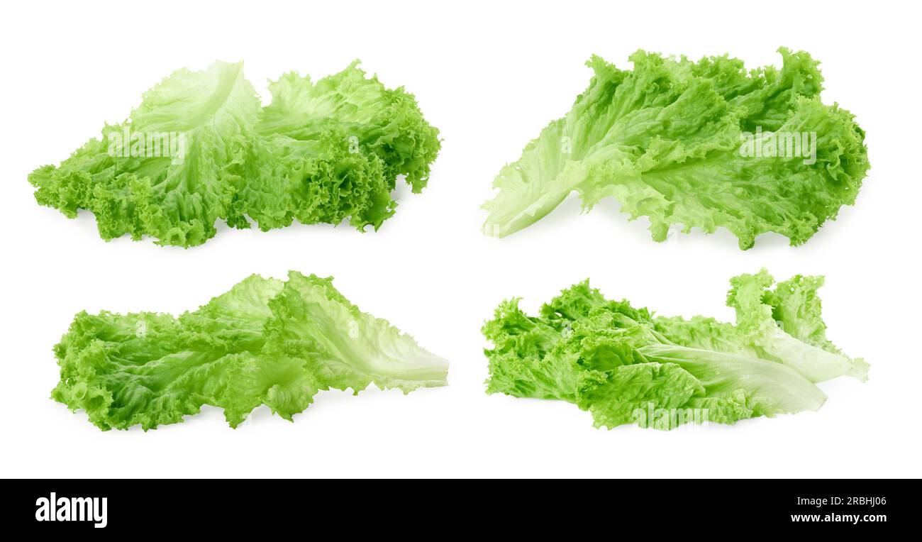 Collage fresh lettuce leaves hi-res stock photography and images - Alamy