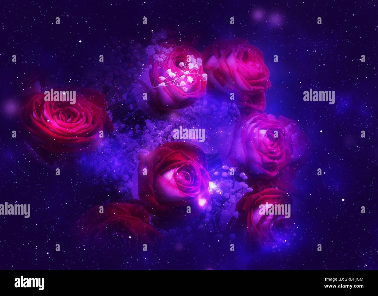 Red rose flower over starry space background, illustration, photo ...