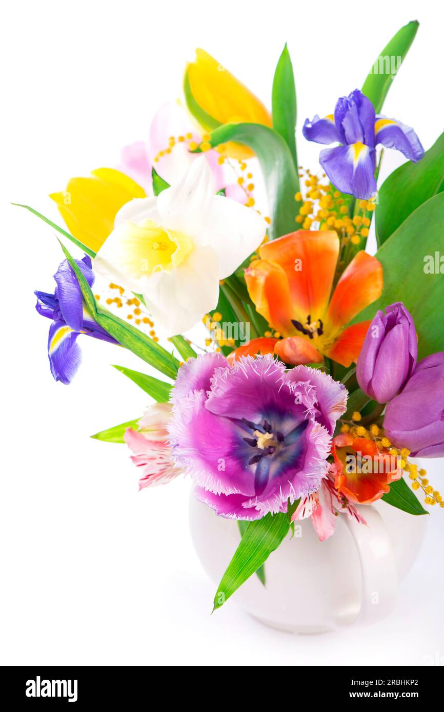 spring flowers isolated on a white background Stock Photo - Alamy