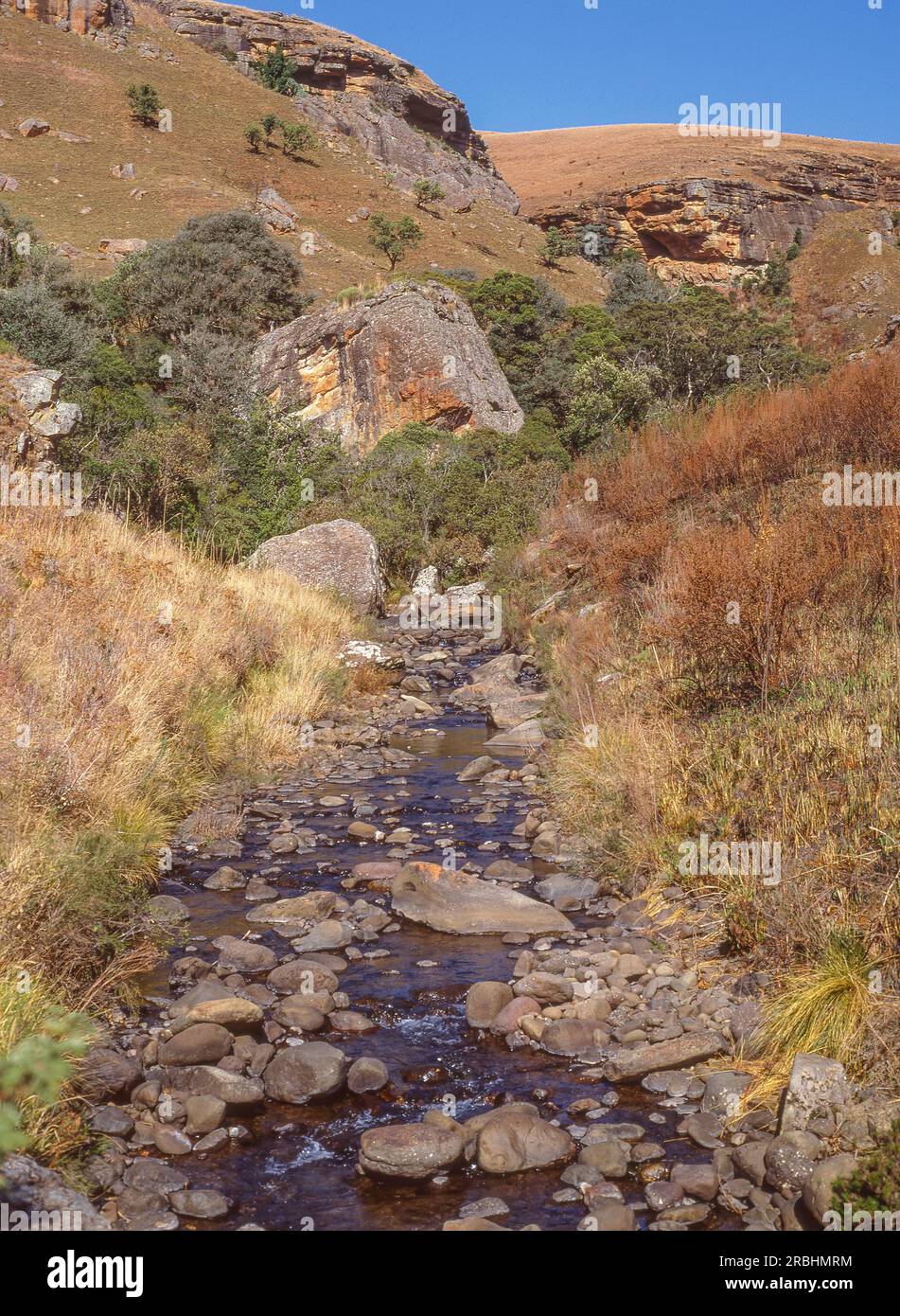Two Dassie Stream flowing in Giants Castle Game Reserve within the Ukhahlamba Drakensberg Park ...