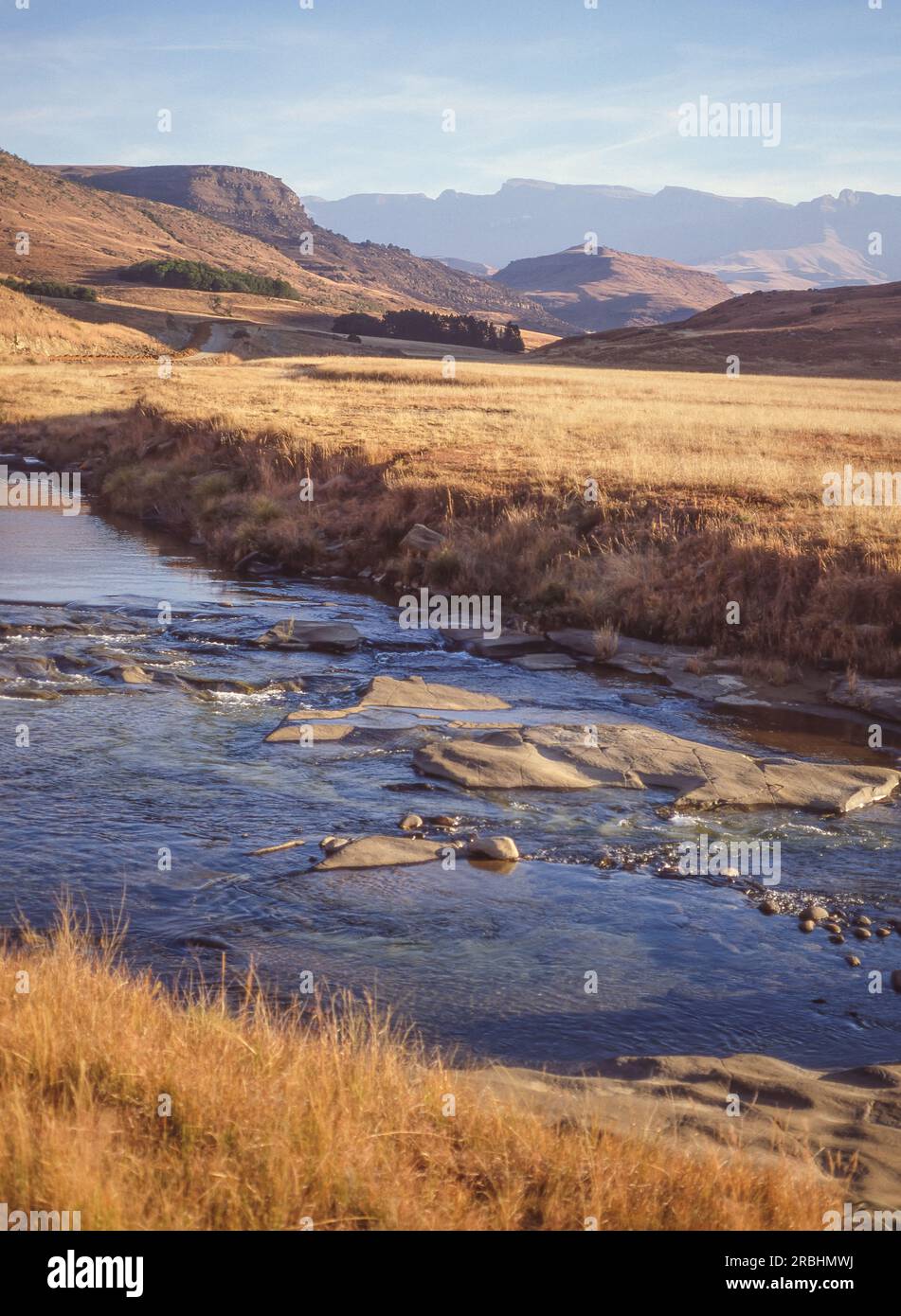 The Bushmans River flowing near Giants Castle Game Reserve within the ...