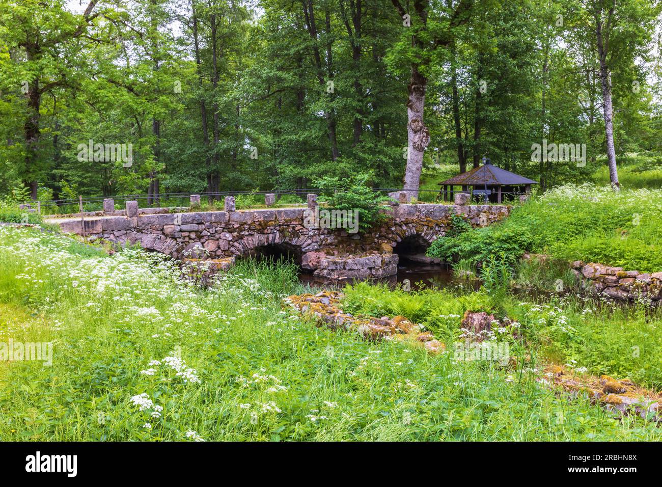 Old arch bridge over a river in a deciduous forest Stock Photo - Alamy
