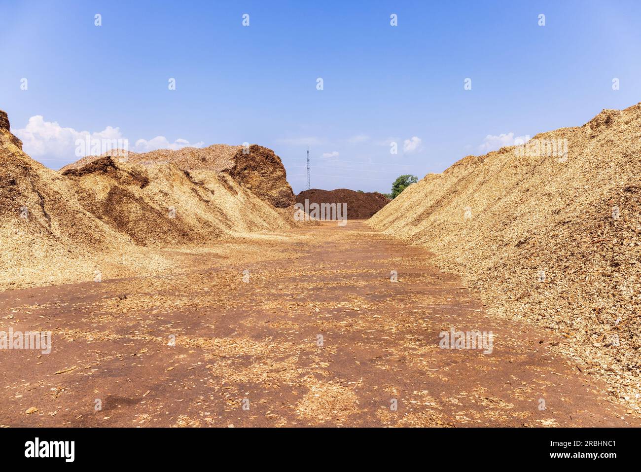 Woodchip pile hi-res stock photography and images - Alamy