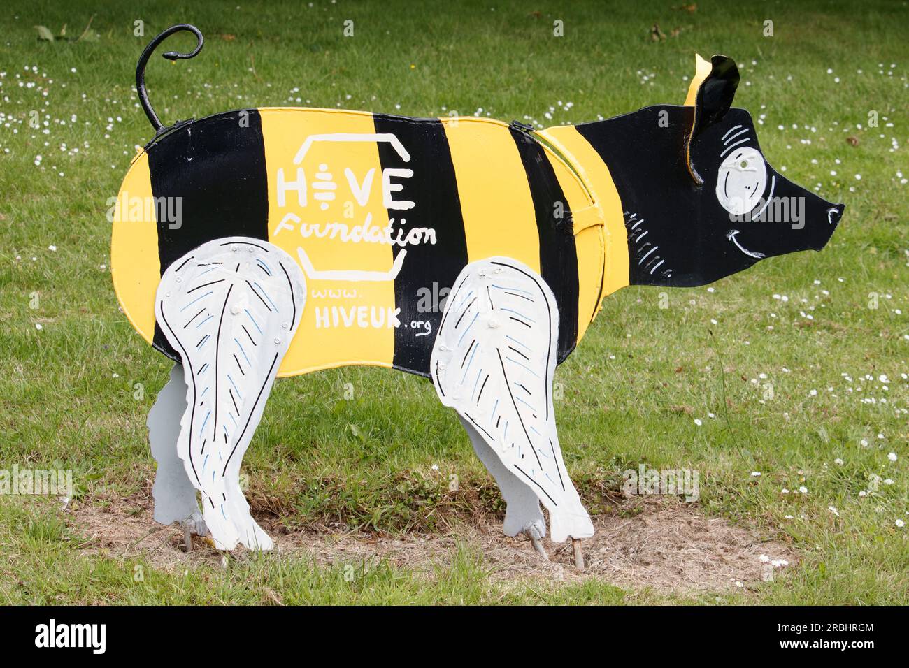Tamworth pig sculptures hi-res stock photography and images - Alamy