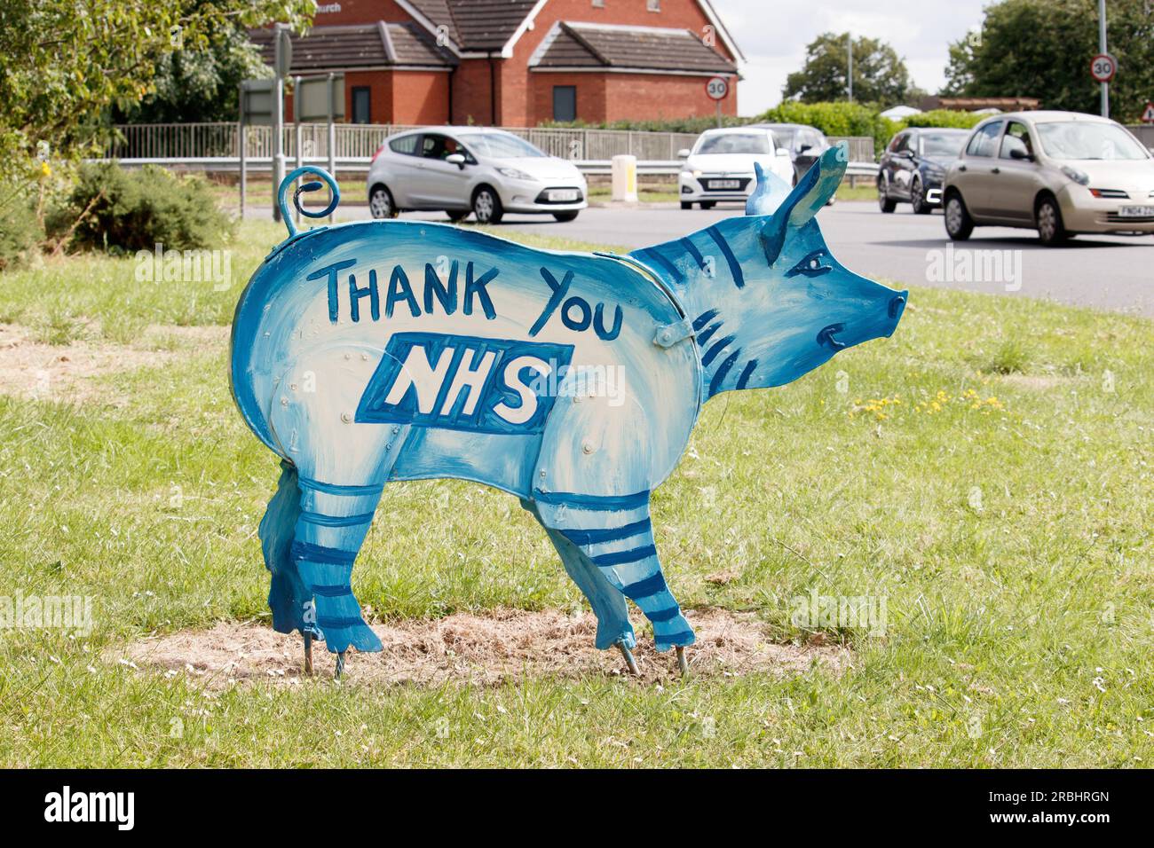 The famous Tamworth Pig sculptures that are situated around the town ...