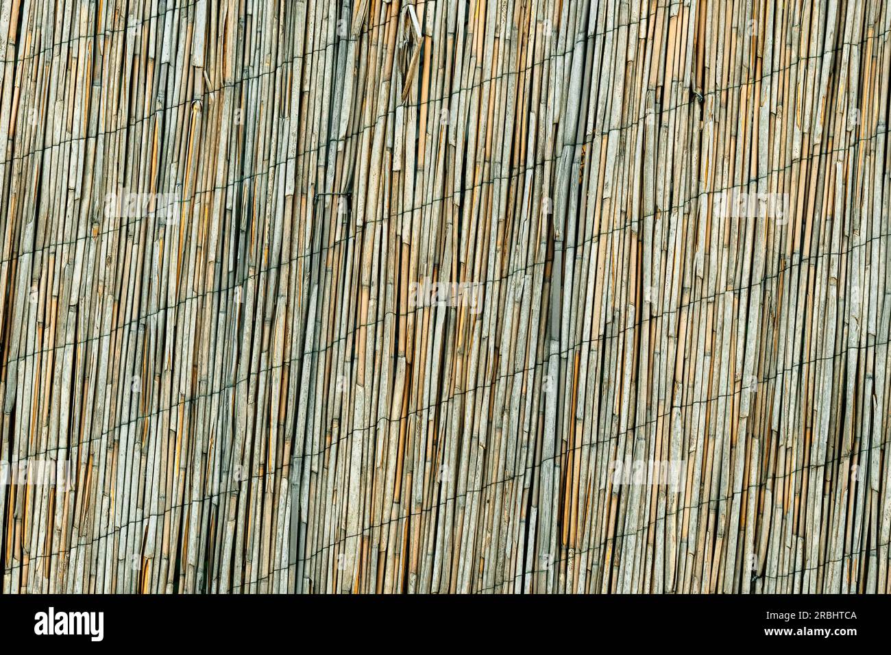 Dry reed fencing material as background Stock Photo - Alamy