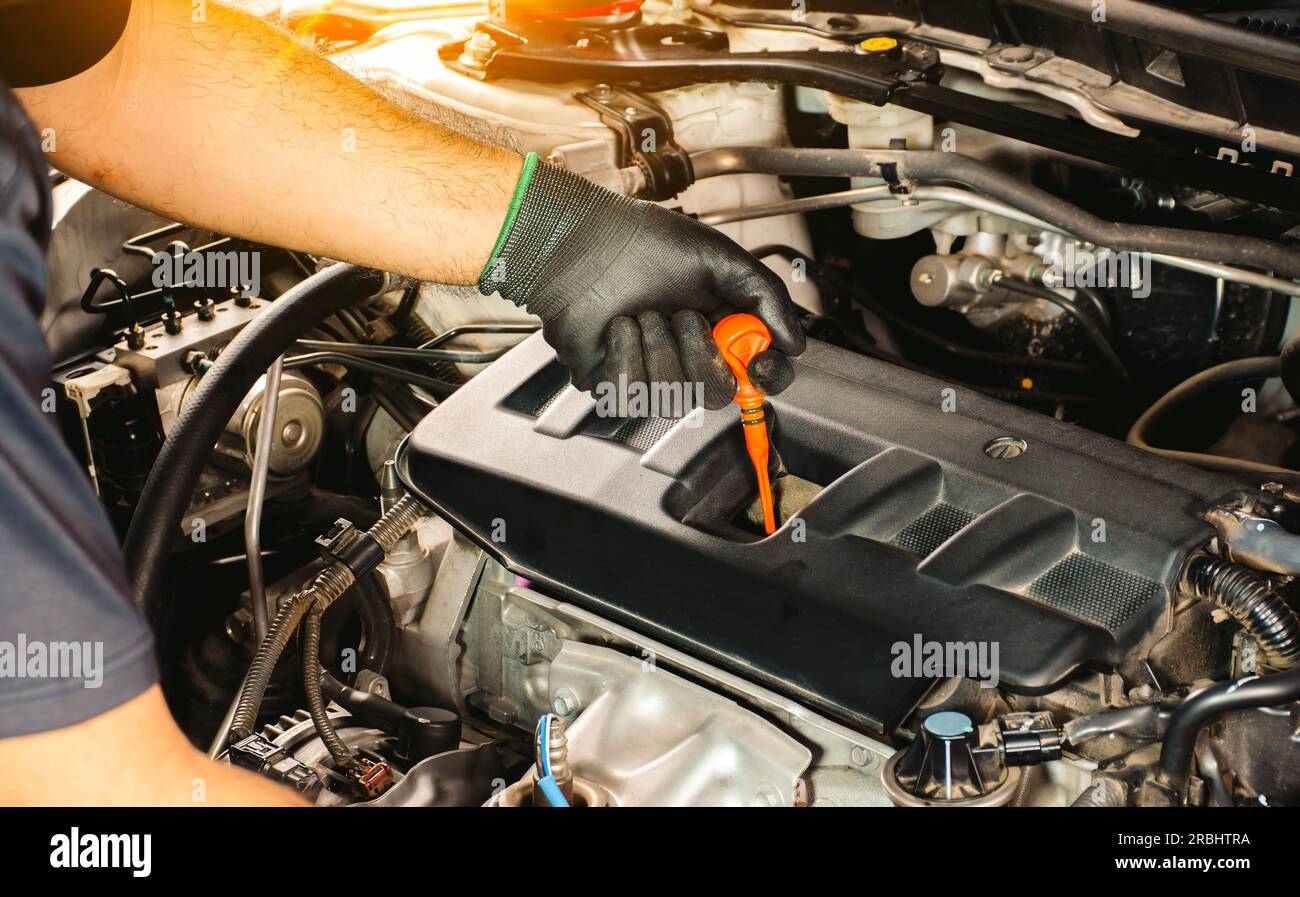 Auto mechanic checking the oil level by dipstick of a car engine. Car ...