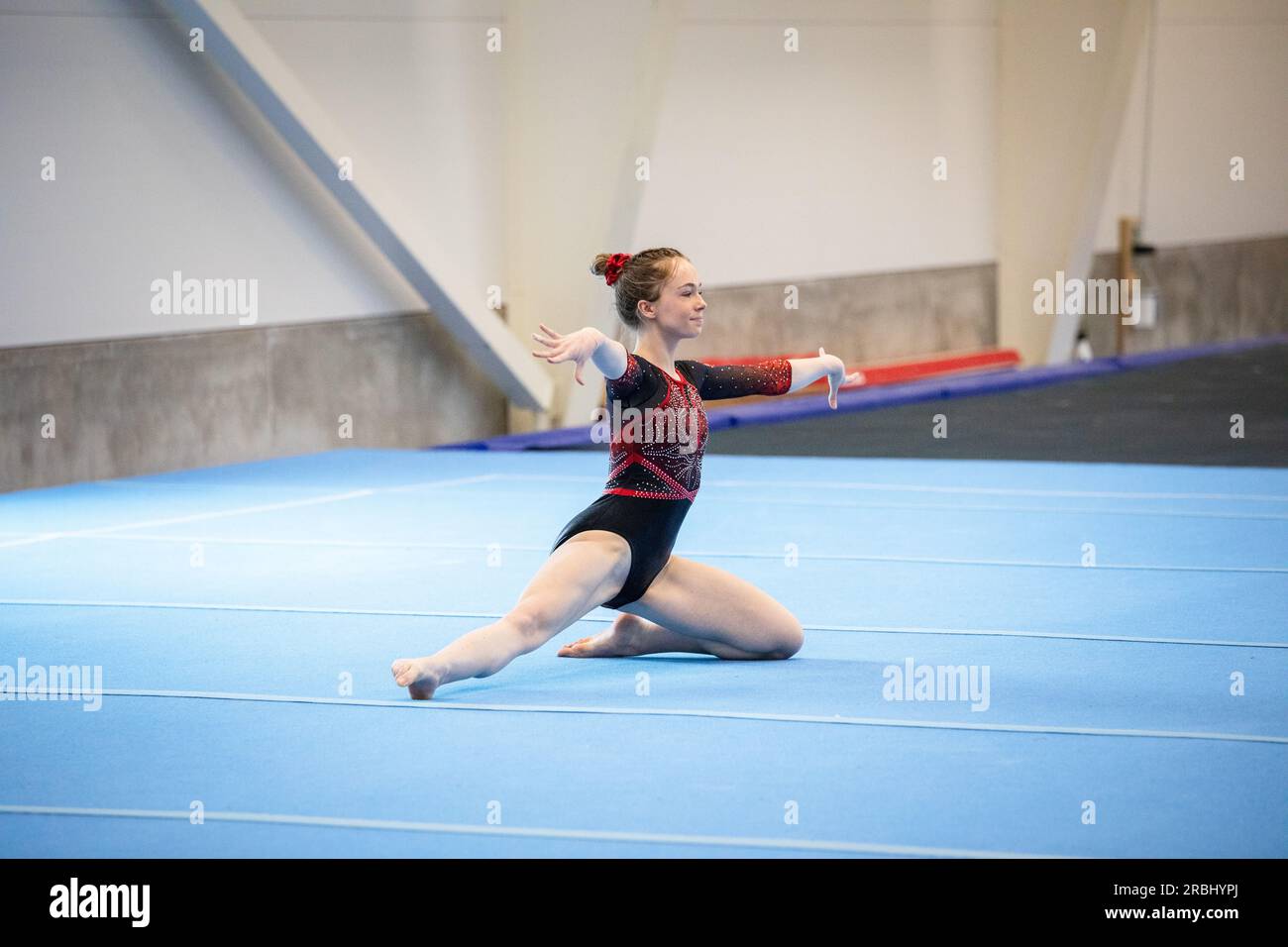 The individual all-around gymnastics competition at the Inter Island ...