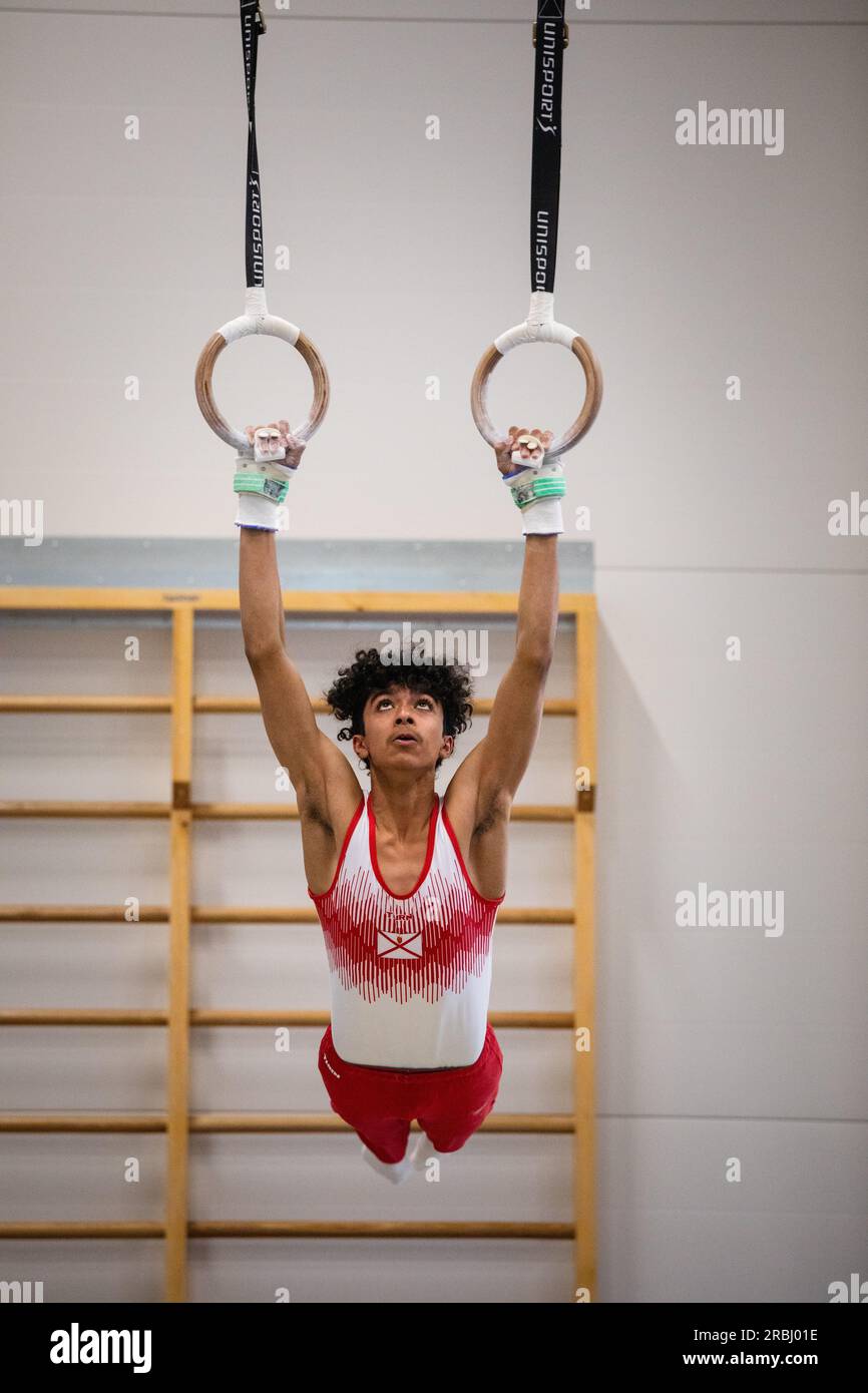 The individual all-around gymnastics competition at the Inter Island ...