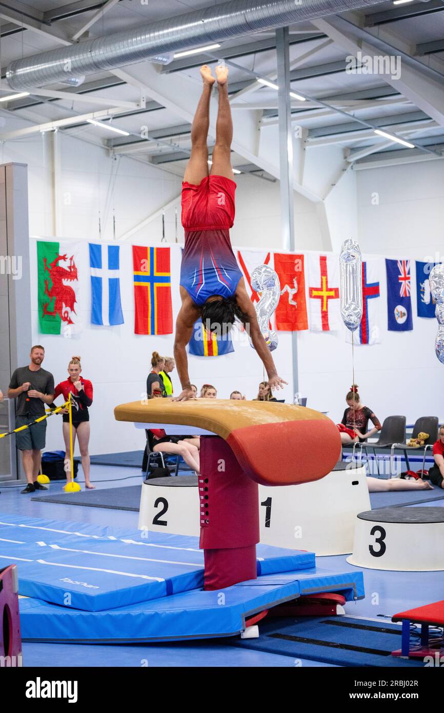 The individual all-around gymnastics competition at the Inter Island ...