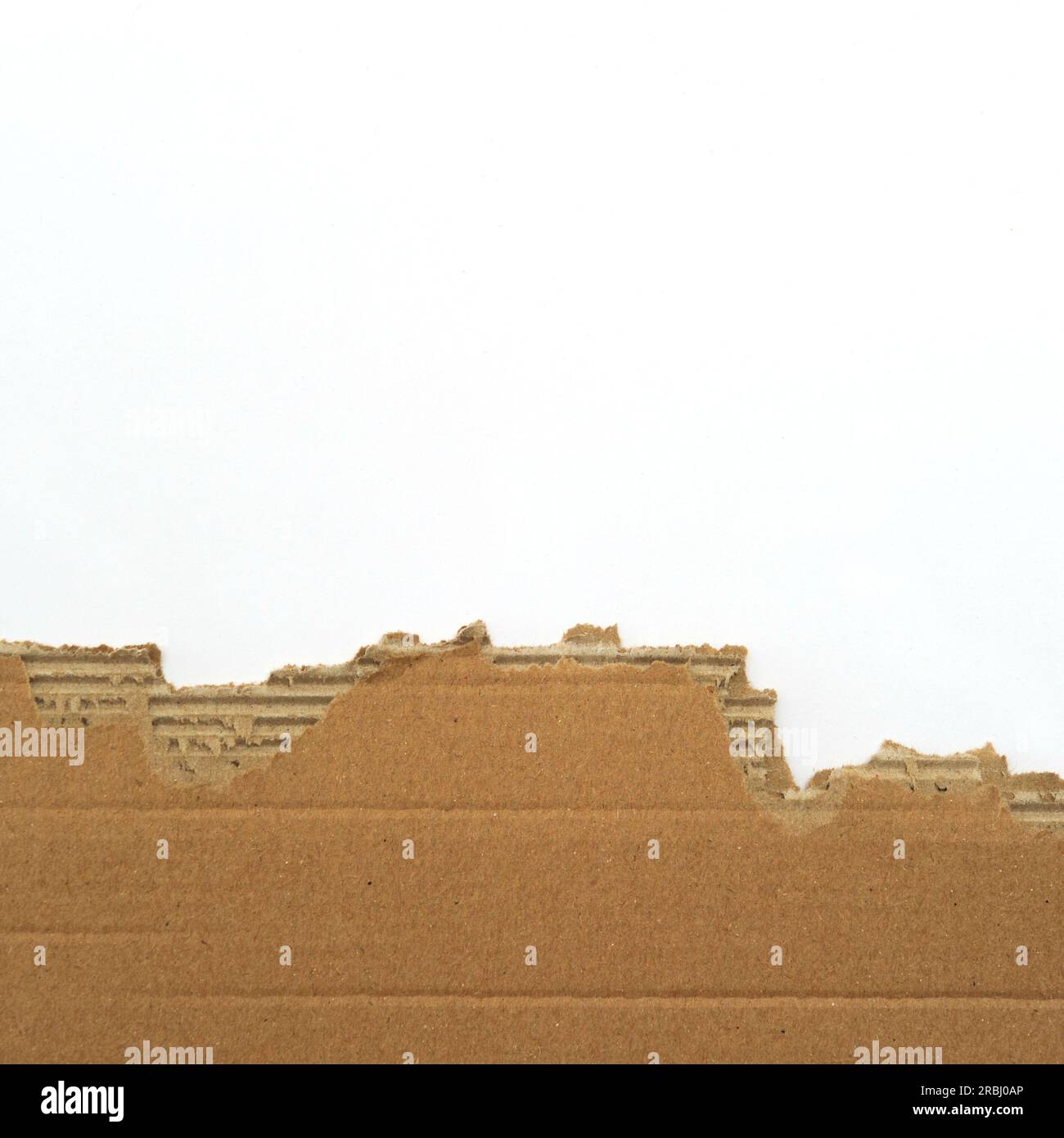 ripped cardboard isolated Stock Photo - Alamy