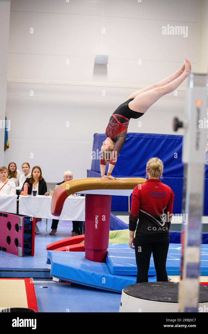 The individual all-around gymnastics competition at the Inter Island ...