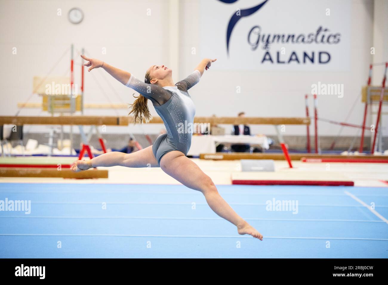 The individual all-around gymnastics competition at the Inter Island ...