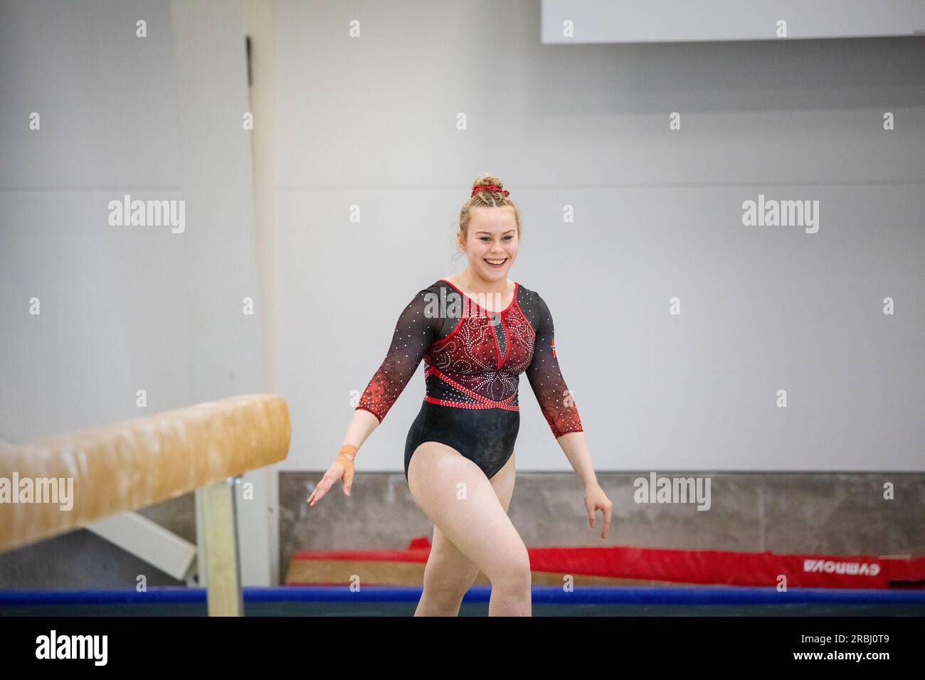 The individual all-around gymnastics competition at the Inter Island ...