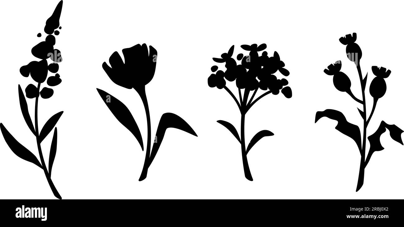 Set of flowers silhouettes. Black silhouettes of flowers isolated on a ...