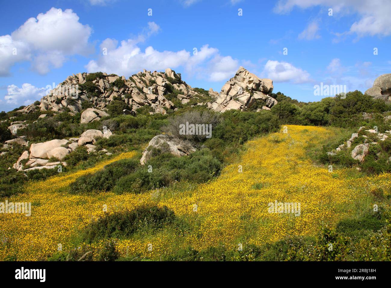 Landscape Granite rocks of Capo Testa, Italy, Sardinia, Santa Teresa di ...