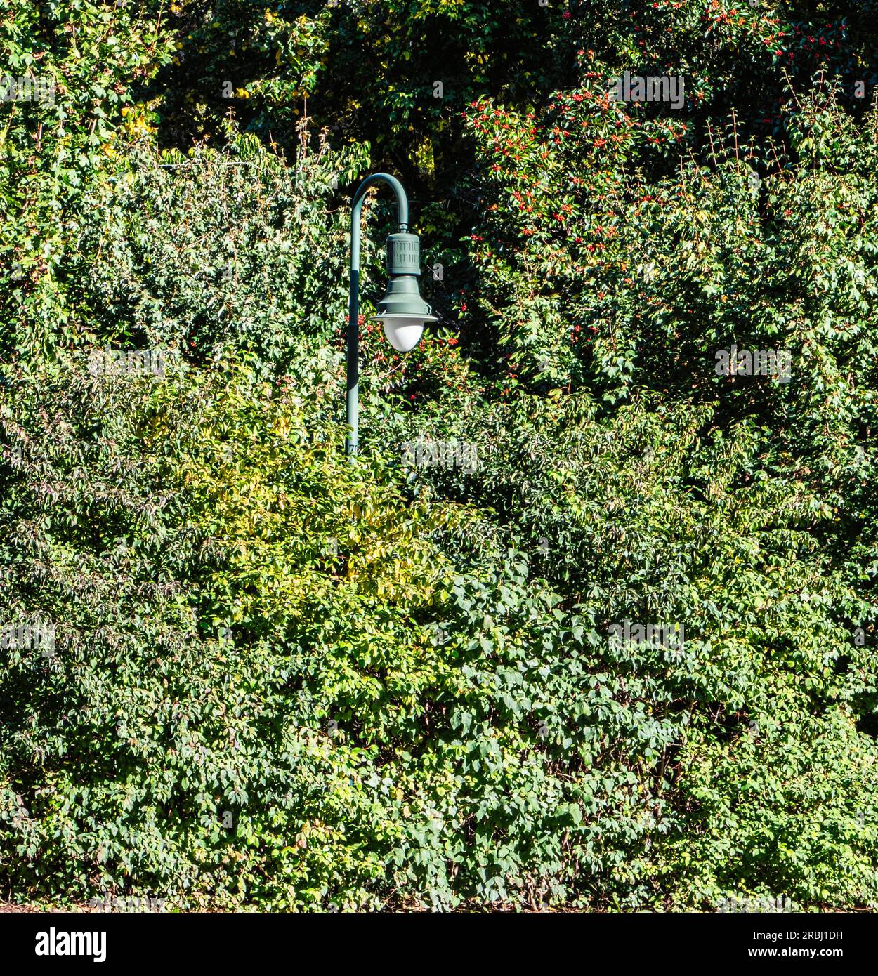 Old Lamp Post and trees in Public park in Puschkinallee, Alt-Treptow ...
