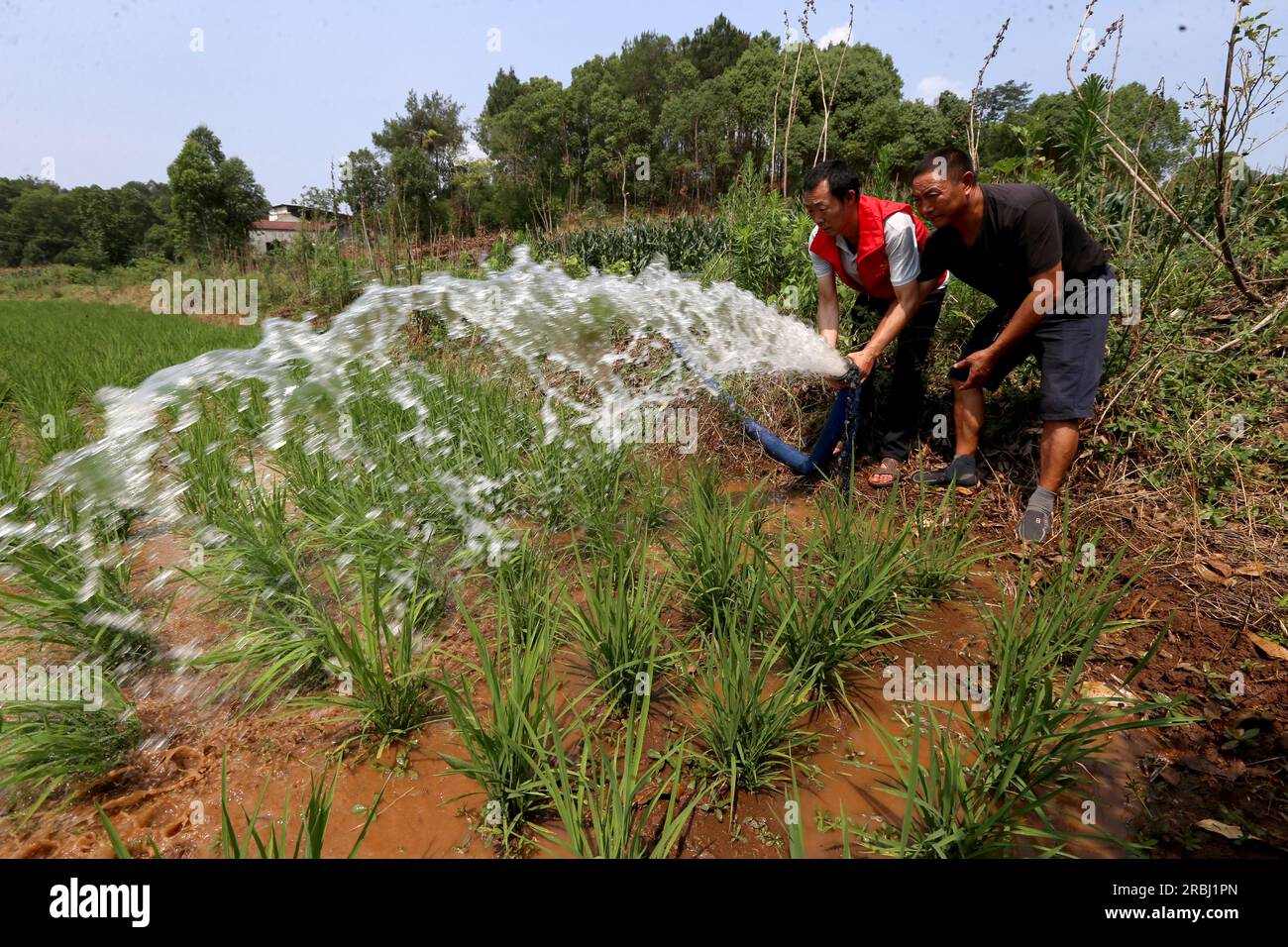 Farmer uses water pump pump hi-res stock photography and images - Alamy