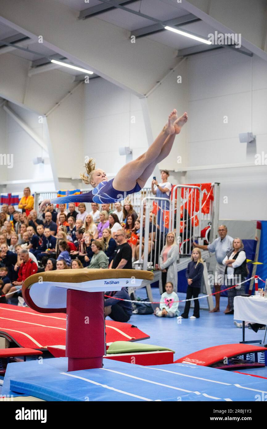 The individual all-around gymnastics competition at the Inter Island ...