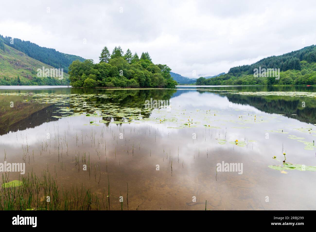 Beautiful Scottish Loch Chon on a summers evening in July Stock Photo ...