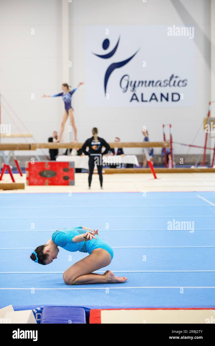 The individual all-around gymnastics competition at the Inter Island ...
