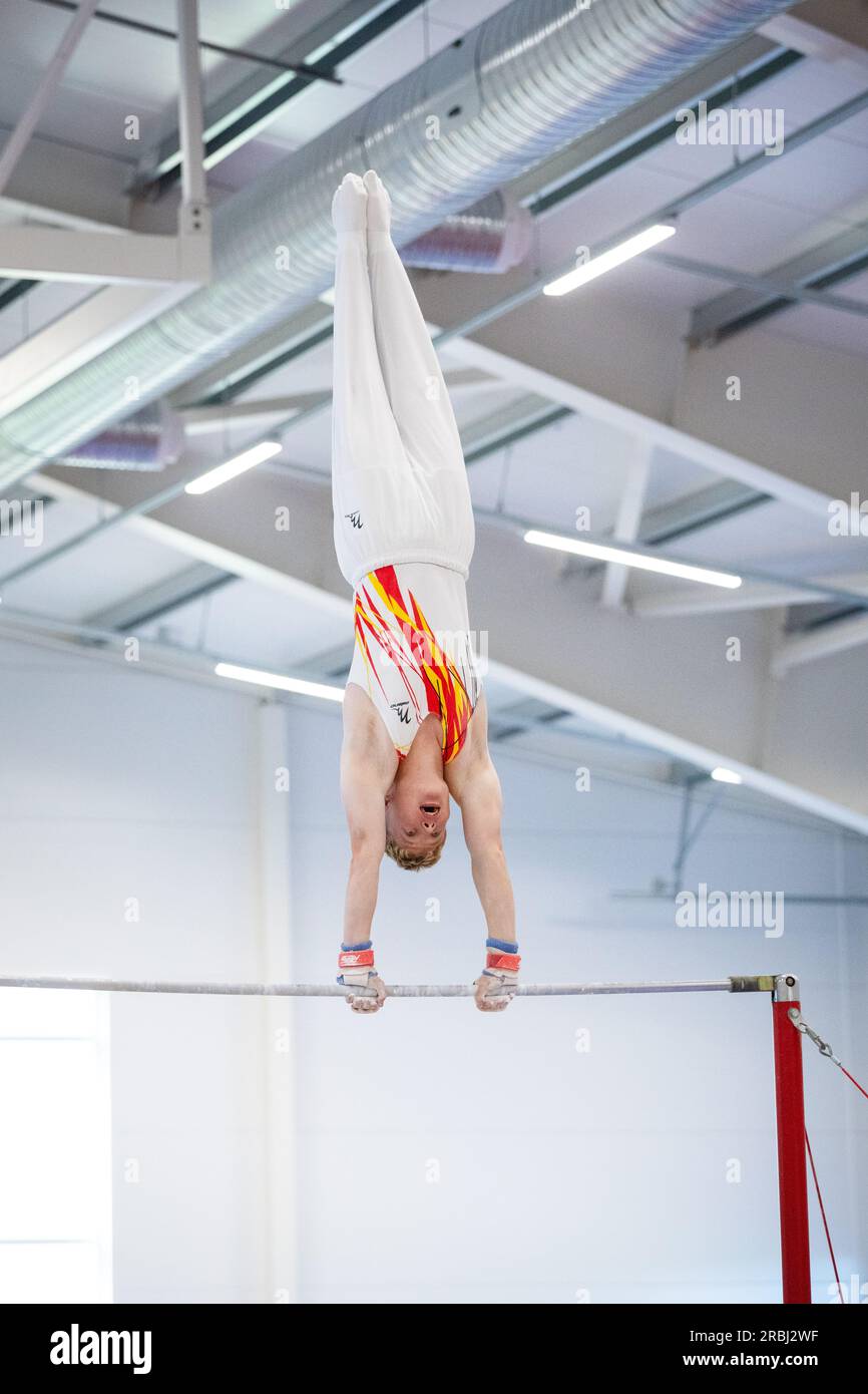 The individual all-around gymnastics competition at the Inter Island ...