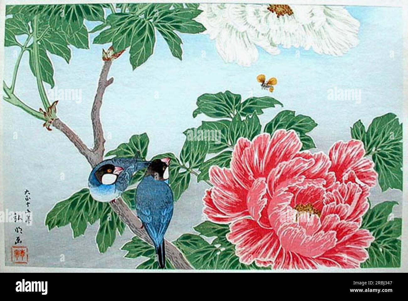 Peony and Paddy-birds 1926 by Shotei Takahashi Stock Photo - Alamy