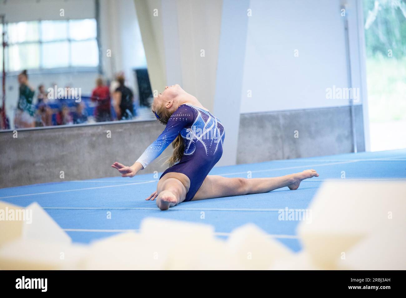 The individual all-around gymnastics competition at the Inter Island ...