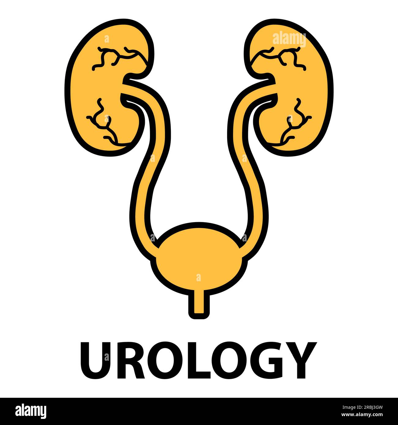 Urology health human icon, anatomy medical body bladder sign, biology ...