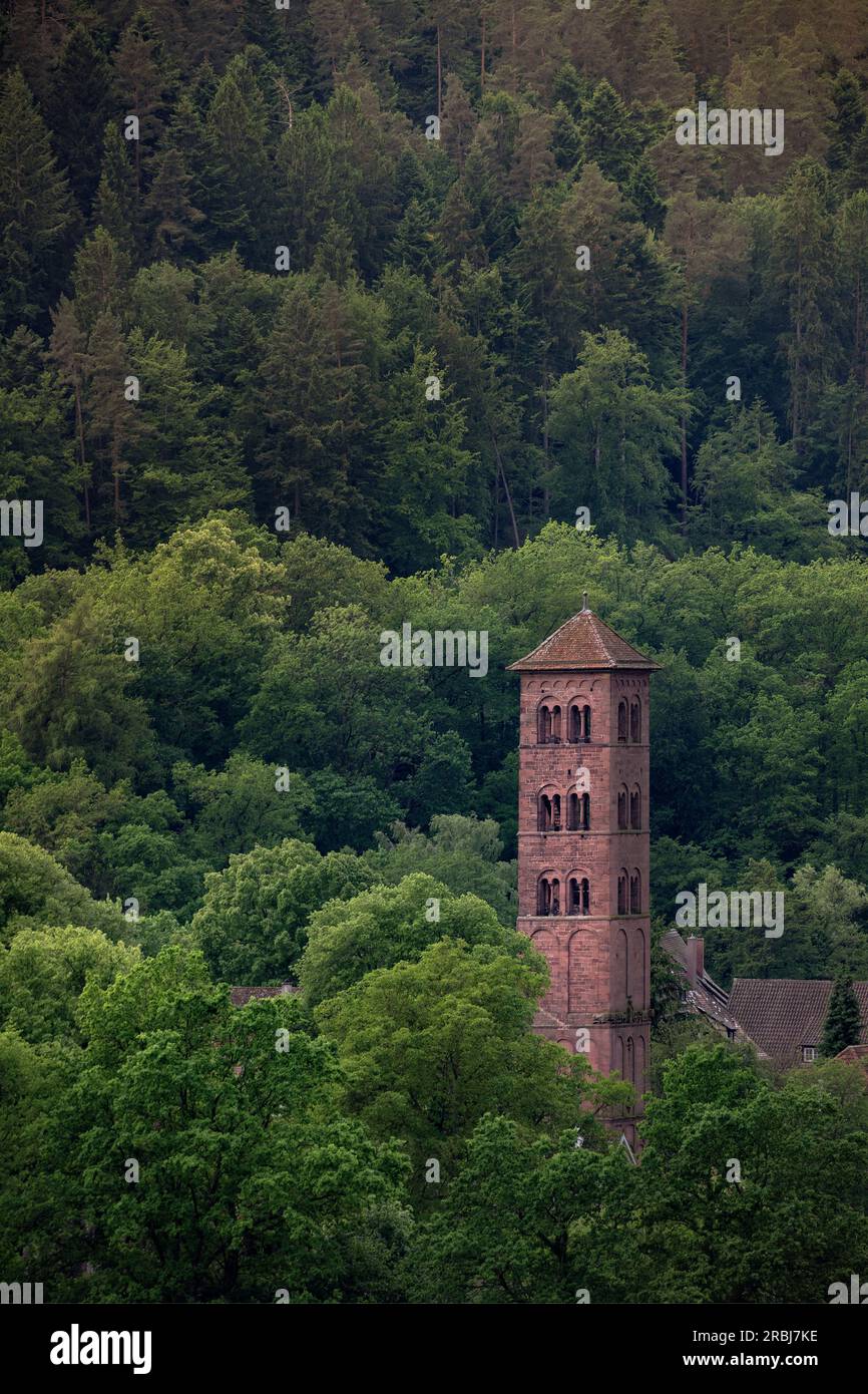 Owl tower hi-res stock photography and images - Alamy