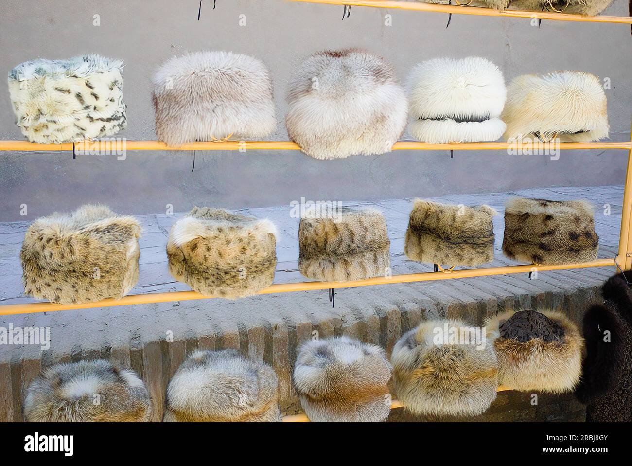 Kala head hi-res stock photography and images - Alamy