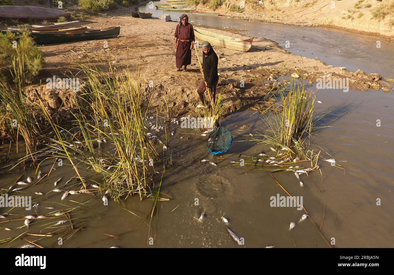 An Iraqi fisherman collects dead fish near the Al-Ezz River in the ...
