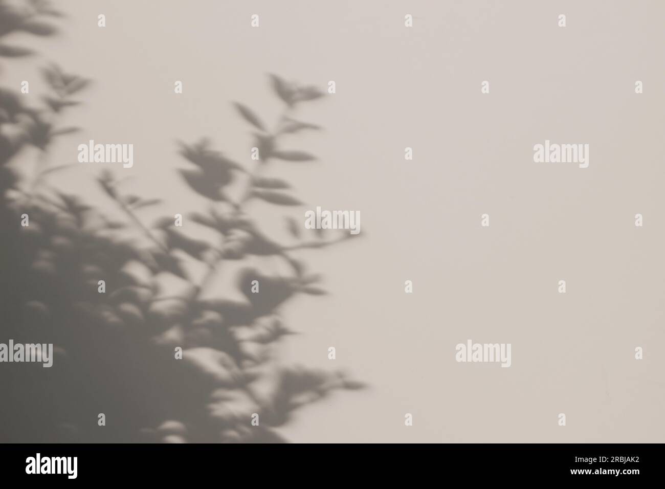 Tree shade shadow pattern hi-res stock photography and images - Alamy