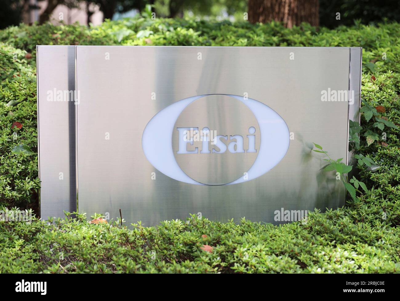The logo of Japanese pharmaceutical company Eisai Co., Ltd. is seen at ...