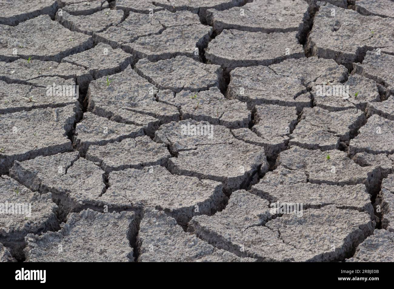 dry land in the dry season Drought, ground cracks, no hot water. Lack ...