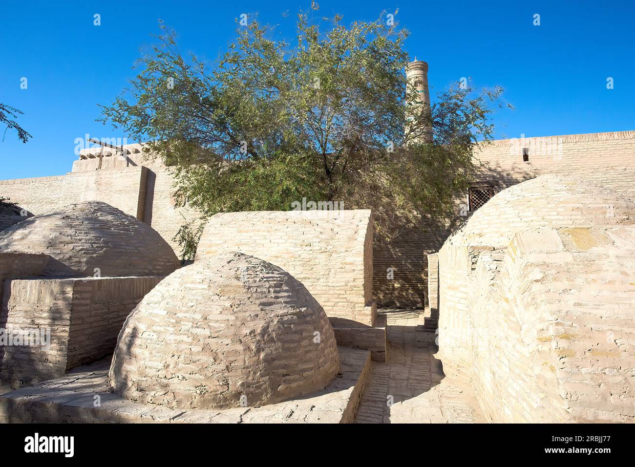 Pahlavan mahmoud hi-res stock photography and images - Alamy