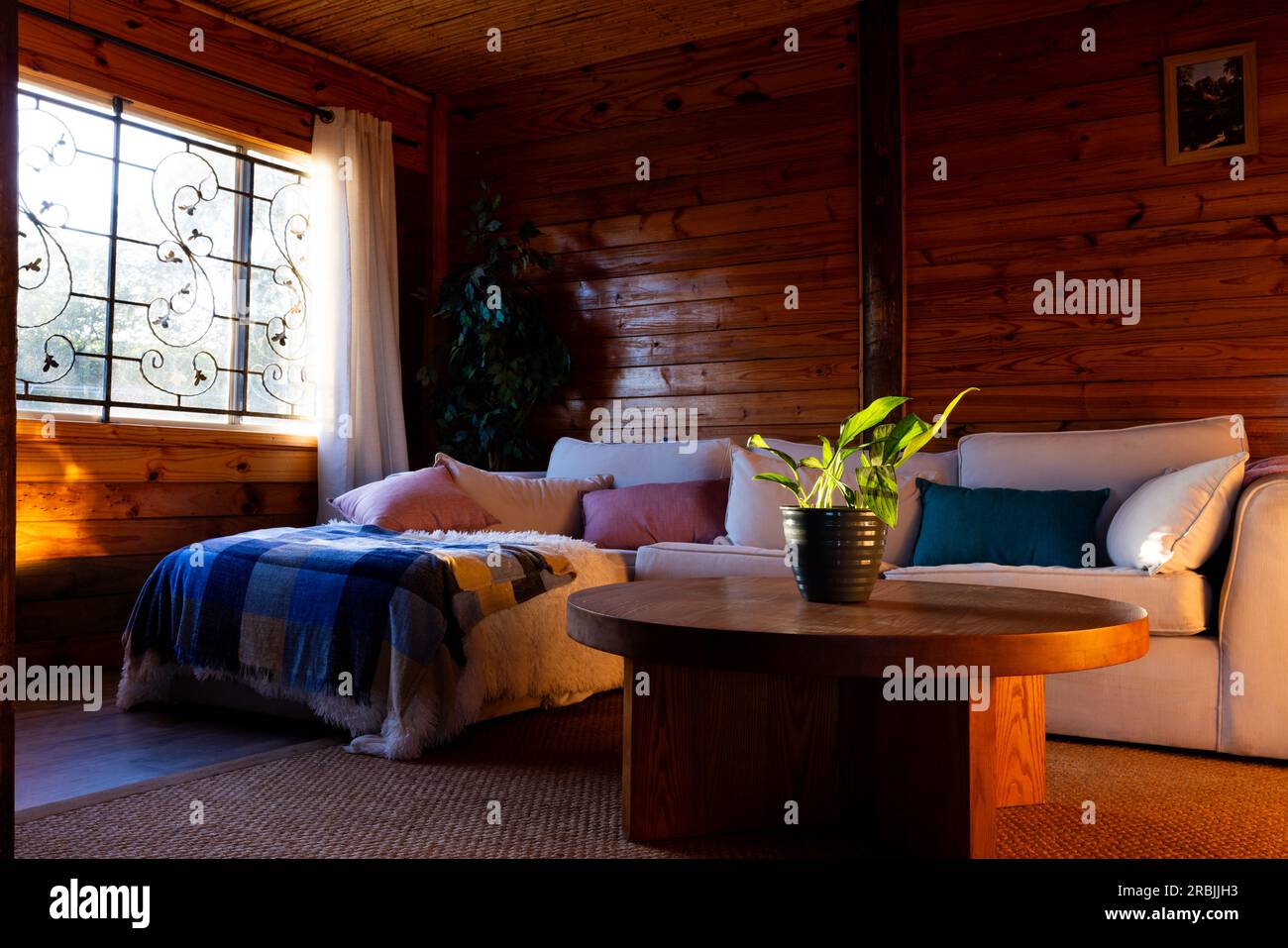 Interior of empty living room with couch and plant on table in log ...