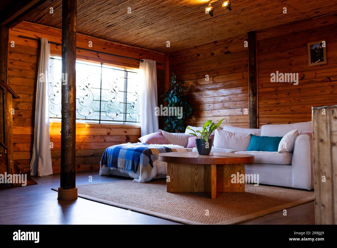 Interior of empty living room with couch and plant on table in log ...