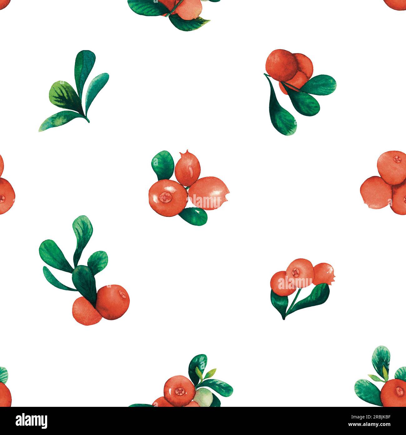 Seamless watercolour cranberry pattern with lingonberry berries, leaves ...